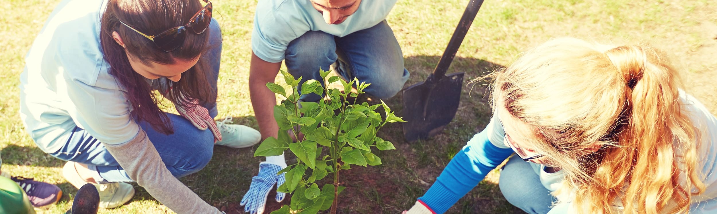 Green Hub | https://greenhub.org.uk