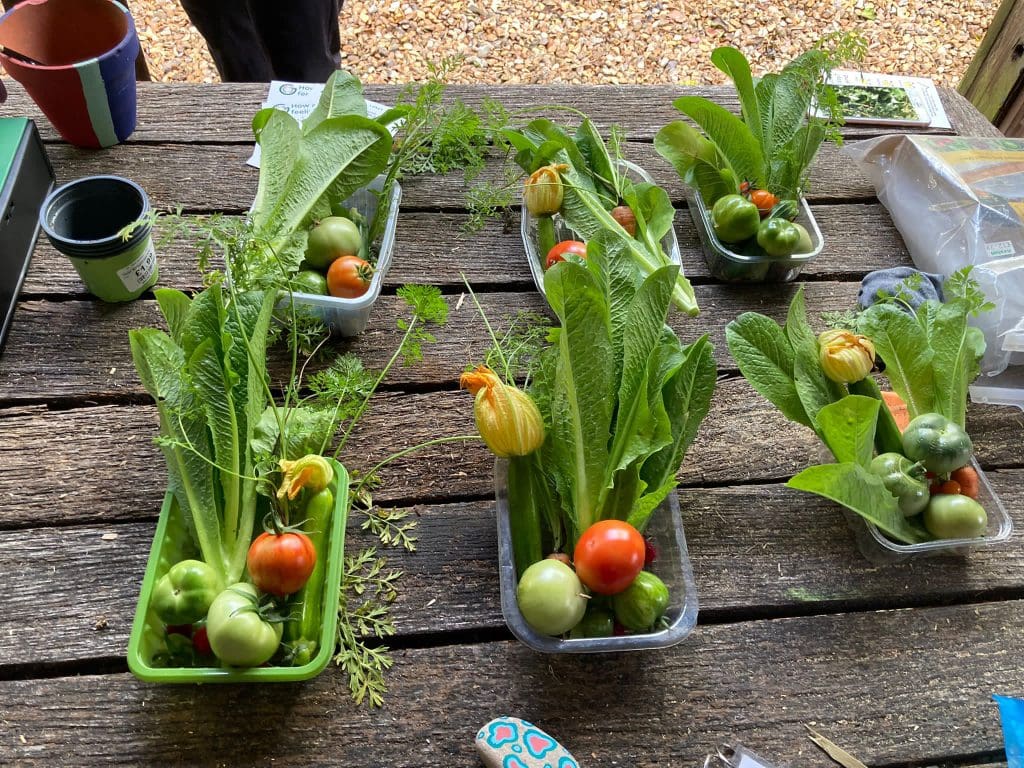 Green Hub | https://greenhub.org.uk