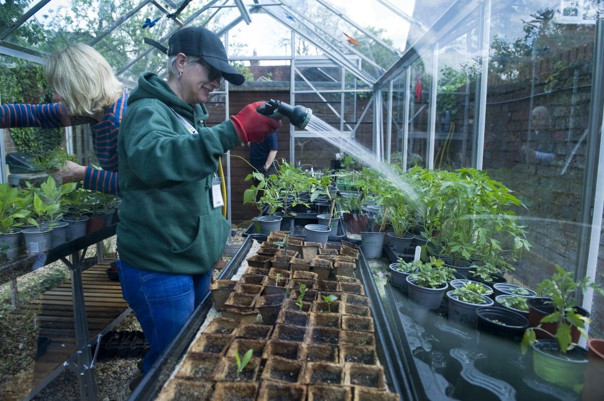 Volunteering with Green Hub - Green Hub